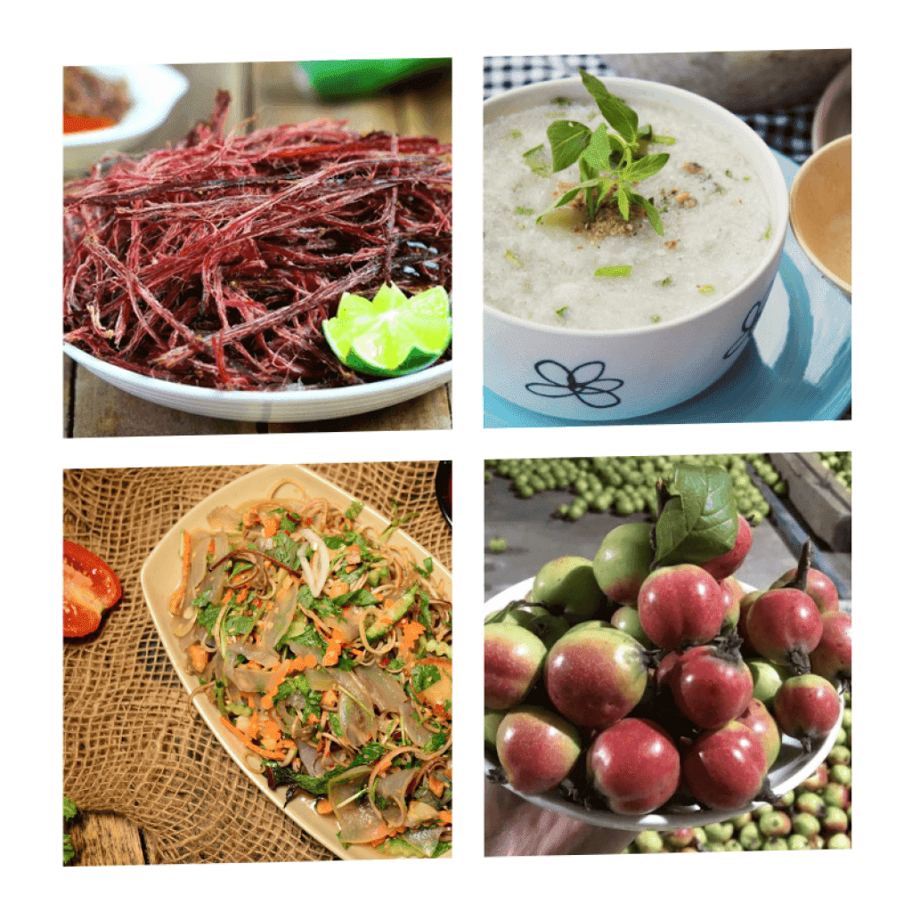 Tà Xùa Ở Đâu? Kinh Nghiệm Du Lịch Tà Xùa Thiên Đường Mây