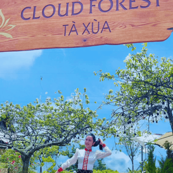 Cloud Forest Tà Xùa, Sơn La - Homestay "Nàng Thơ” Của Tây Bắc